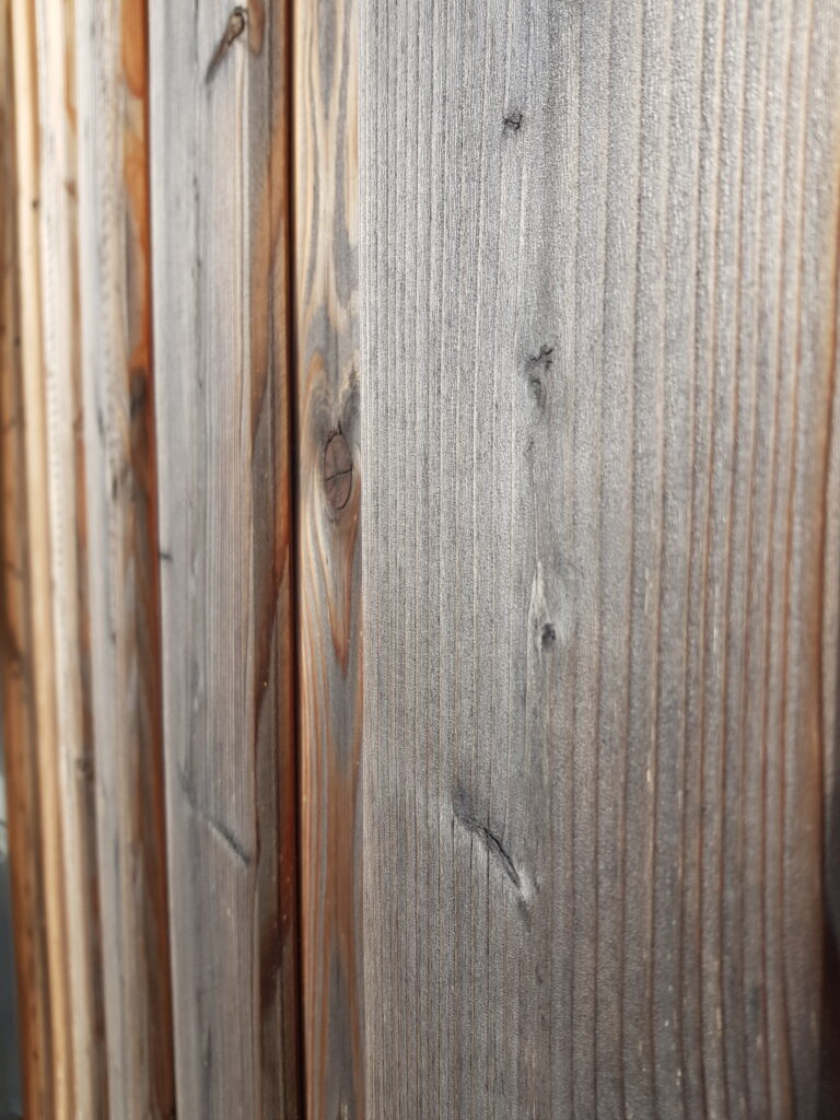 Mélèze d'Amérique du Nord | Mocopinus