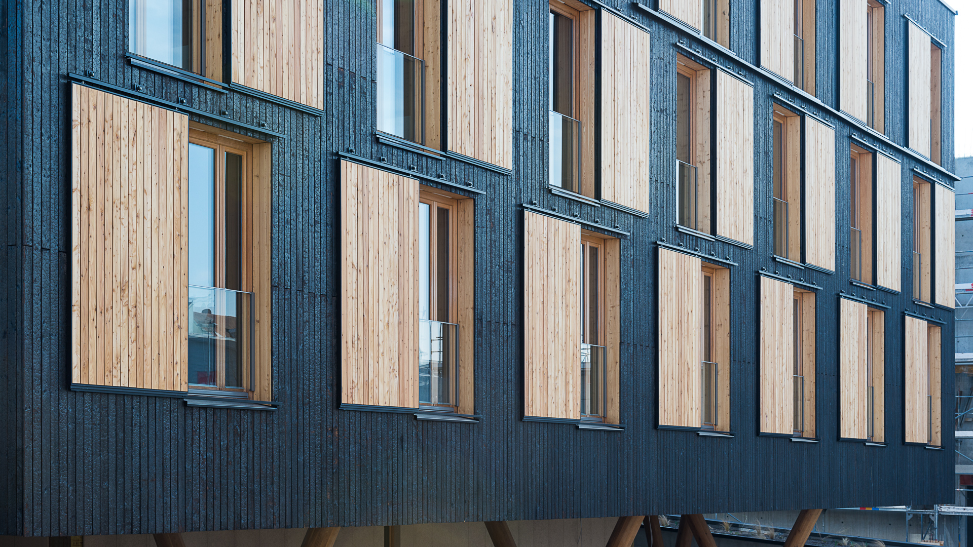 Bayerische Staatsforsten | Mocopinus